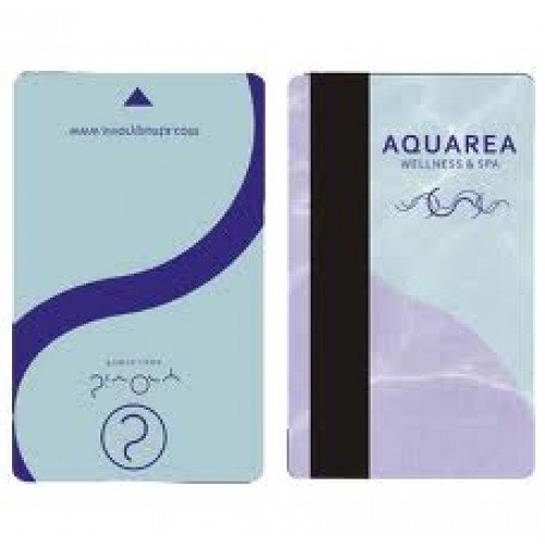 Vingcard Hotel Key Cards Custom Printed RFID 500 pack